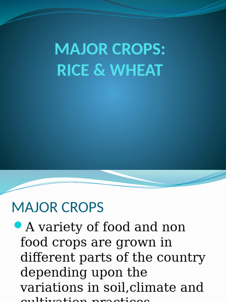 Major Crops | PDF | Cooking, Food & Wine | Home & Garden