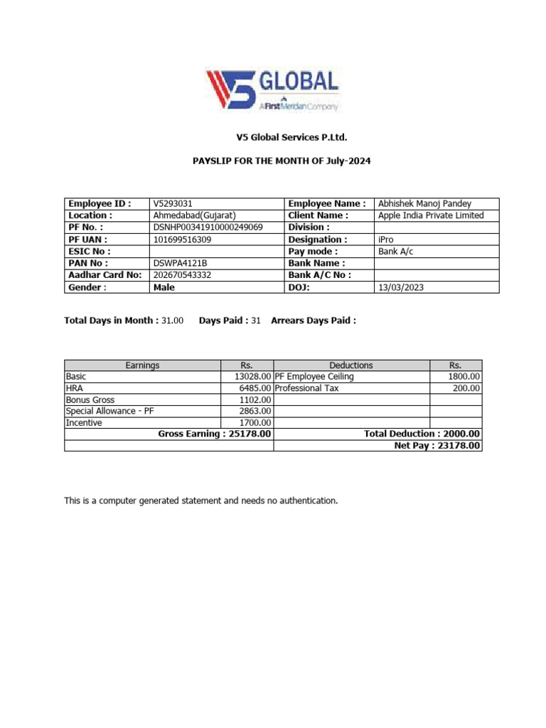 V5 Global Services Salary Slip - July 2024 | PDF | Career & Growth ...