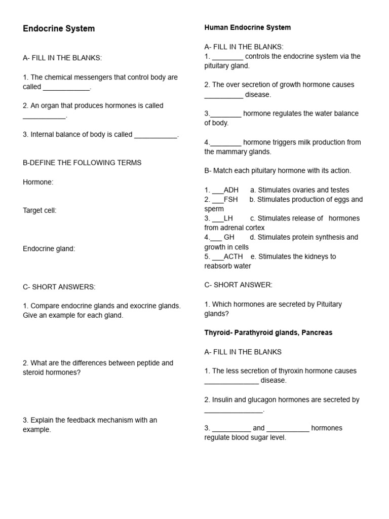 Homework - Endocrine System | PDF | Endocrine System | Hormone