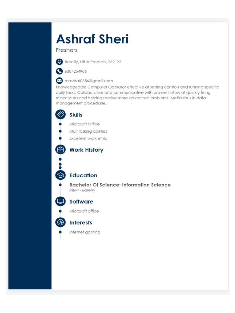 Ashraf CV | PDF