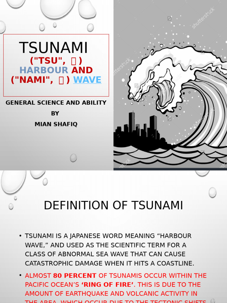Tsunami | PDF