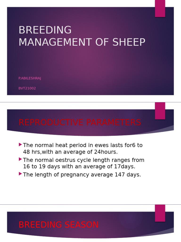Sheep Breeding Management Guide | PDF | Cooking, Food & Wine | Wellness