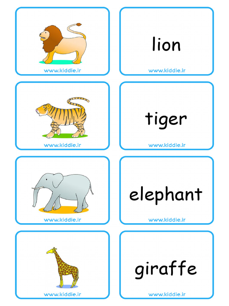 Flashcards Wild Animals | PDF | General Fiction