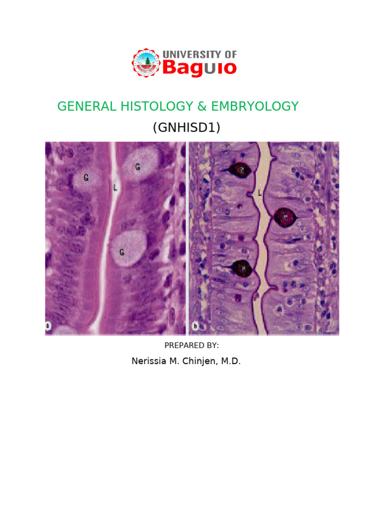 GENERALHISTOLOGYMODULE | PDF | Epithelium | Axon
