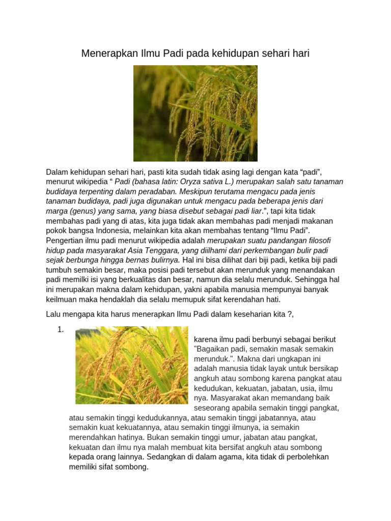 Menerapkan Ilmu Padi Pada Kehidupan Sehari Hari (2) - Muhammad Affan Kamil X MIPA 4 | PDF ...