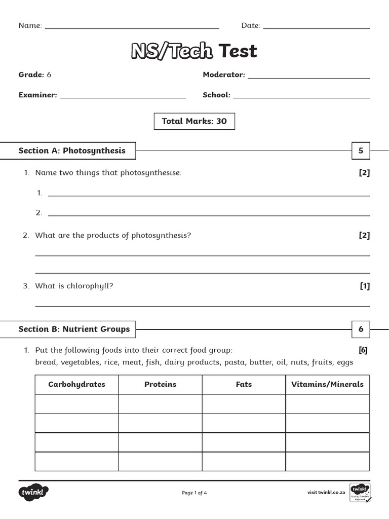 Grade 6 NST Test: Food & Ecosystems | PDF | Foods | Food Web