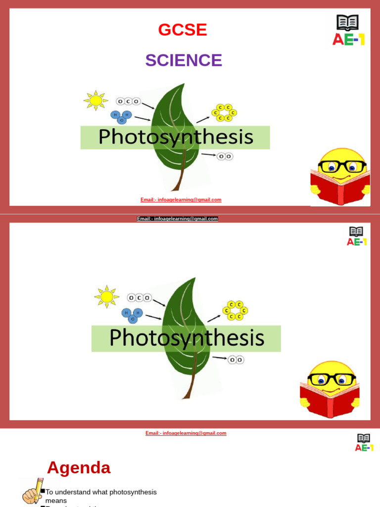 Photosynthesis GCSE | PDF | Photosynthesis | Plants