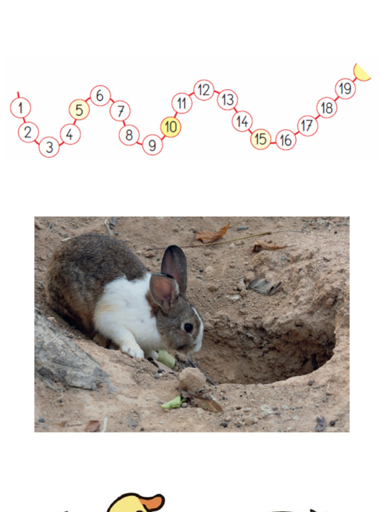 Unité 3 | PDF | Livres de cuisine, nourriture et vin