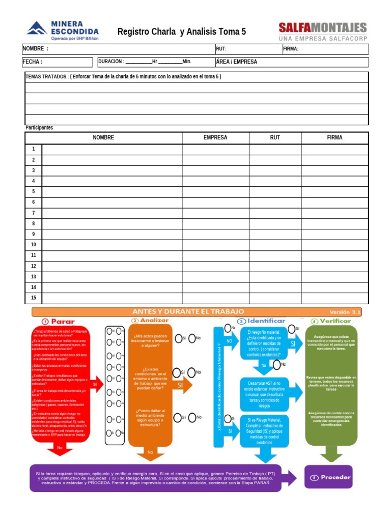 Registro y Análisis de Charla Toma 5 | PDF | Negocios | Informática