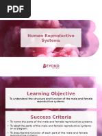 Human Reproductive Systems PowerPoint | PDF | Human Reproduction ...