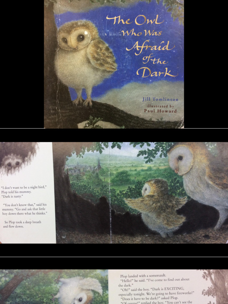 The Owl Who Was Afraid of The Dark Book | PDF