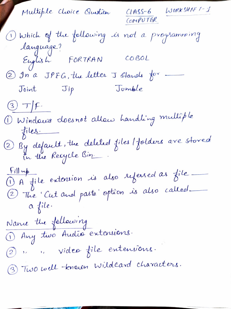 Class 6th Computer Worksheet | PDF