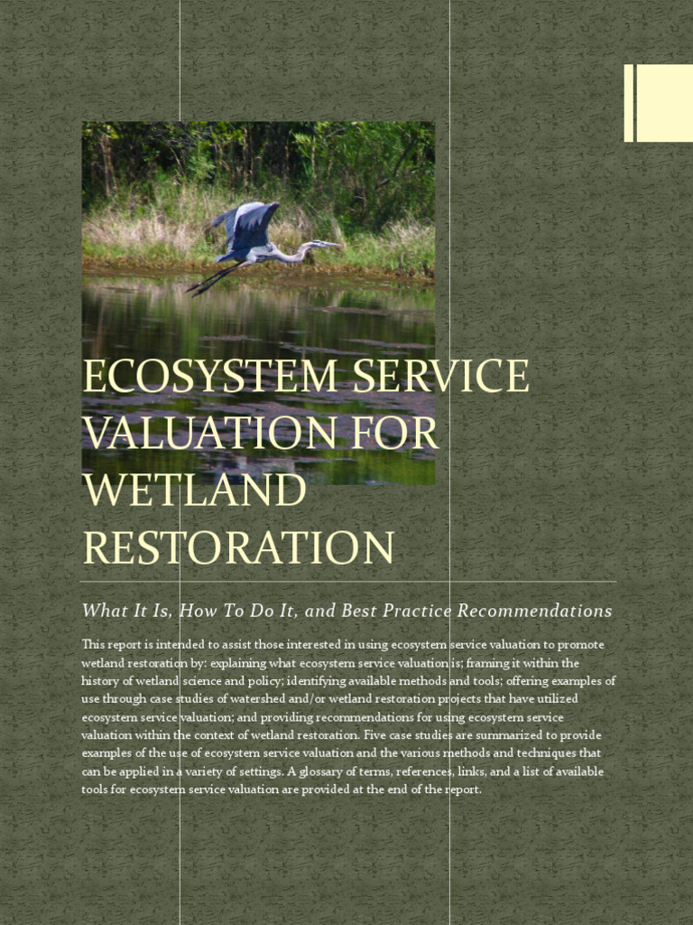 Ecosystem Service Valuation For Wetland Restoration | PDF | Wetland ...