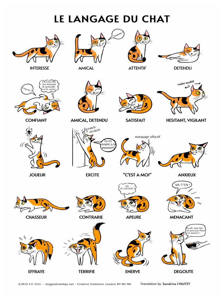 FRENCH Cat Language | PDF