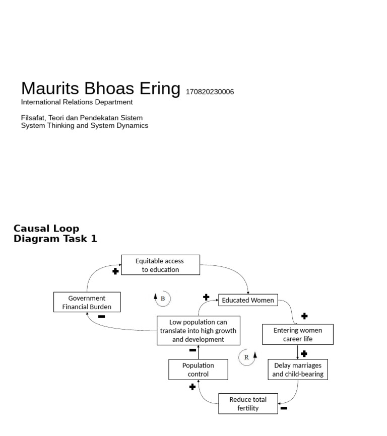 Causal Loop Diagram Task 1 | PDF | Self-Improvement | Wellness