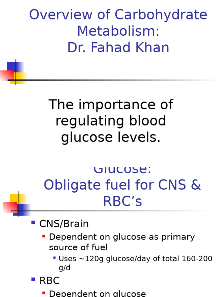 Overview of Carbohydrate Metabolism | PDF | Wellness
