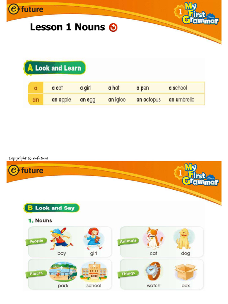 Grammar1-U1nouns S+P | PDF