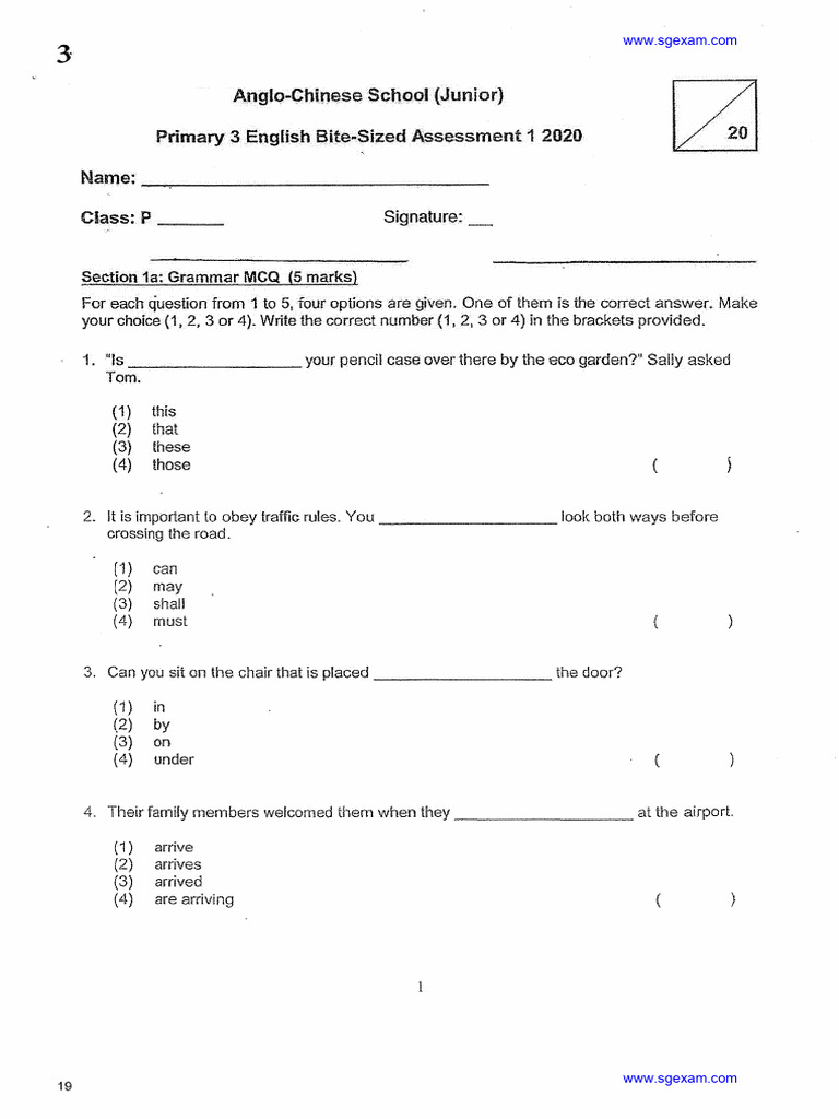2020 P3 English CA1 ACSJ | PDF