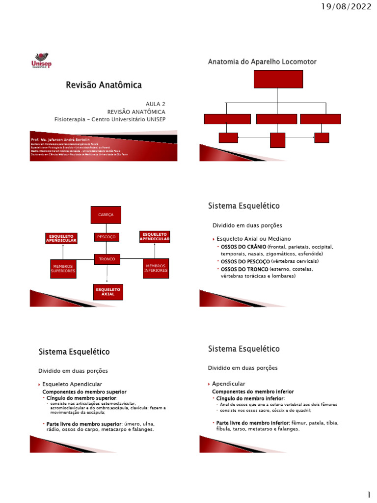 AULA 2 - Revisã o Anatô Mica | PDF | Osso | Esqueleto