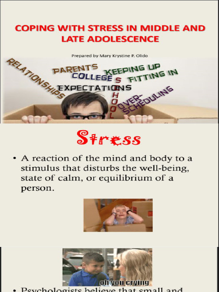Coping Stress | PDF