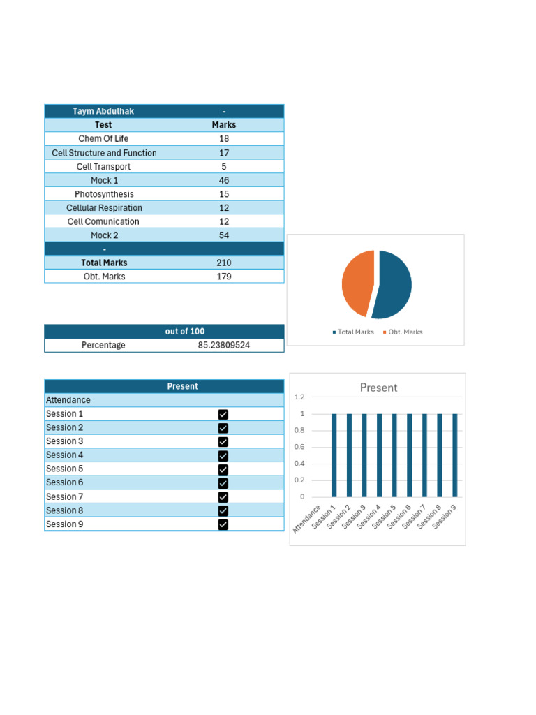Personal AP Progress | PDF