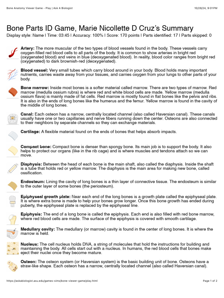 Bone Anatomy Viewer Game - Play - Ask A Biologist | PDF | Bone | Bone ...