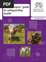 Cattle Vaccination Schedule Overview | PDF | Cattle | Health Sciences
