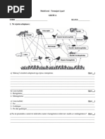 BIOLOGJIA 6 Modele Testesh Sipas Periudhave PERGJIGJE | PDF