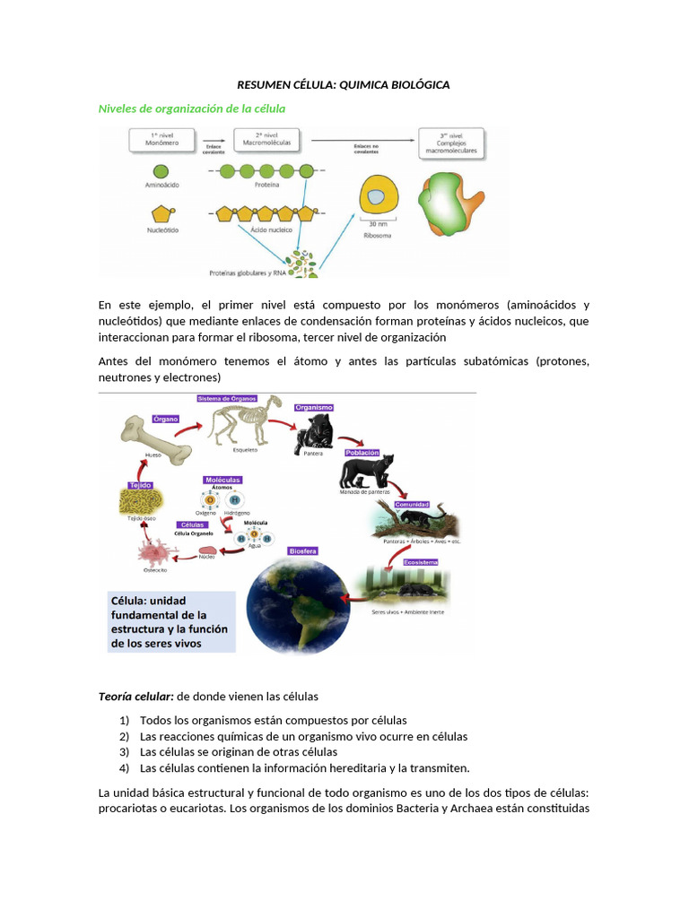 Resumen Celula Final | PDF | Membrana biológica | Biología Celular)