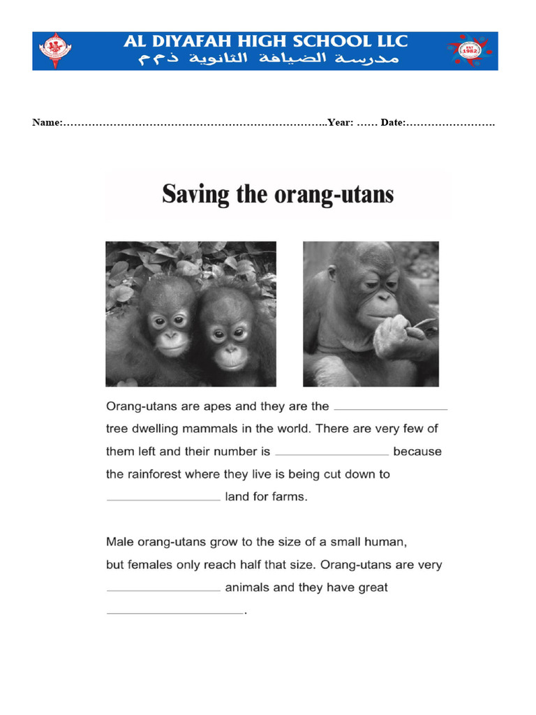 Sentence Completion Worksheet 2 Yr 8 | PDF