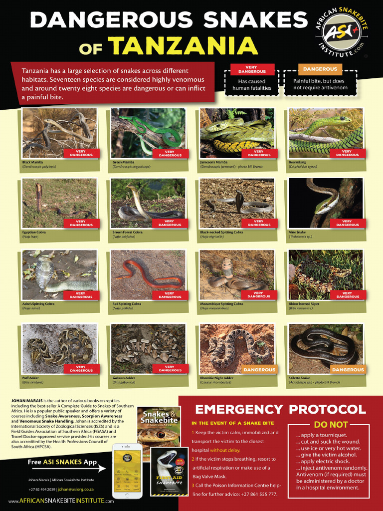 Venomous Snakes of Tanzania | PDF