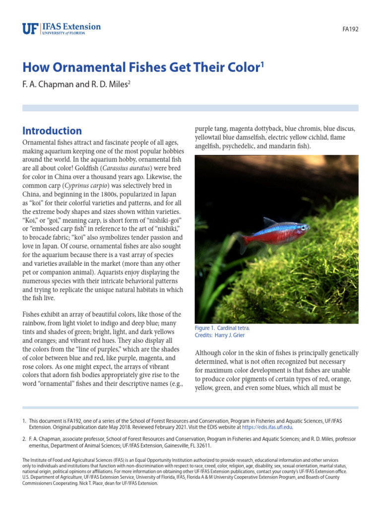 Ornamental Fish Coloration Guide | PDF | Carotenoid | Skin