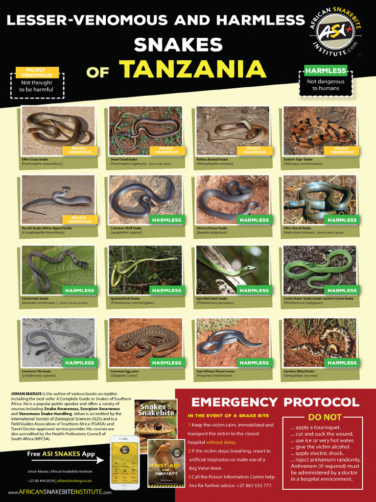 Lesser Venomous and Harmless Snakes of Tanzania | PDF