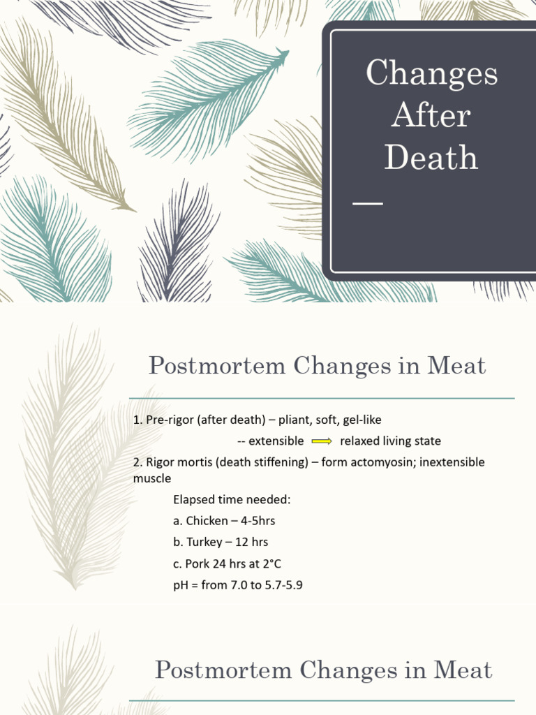 Changes After Death | PDF