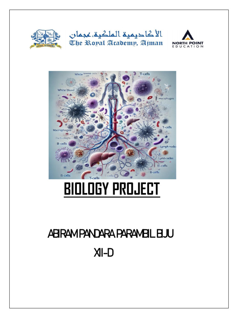 Understanding the Human Immune System | PDF | Immune System ...