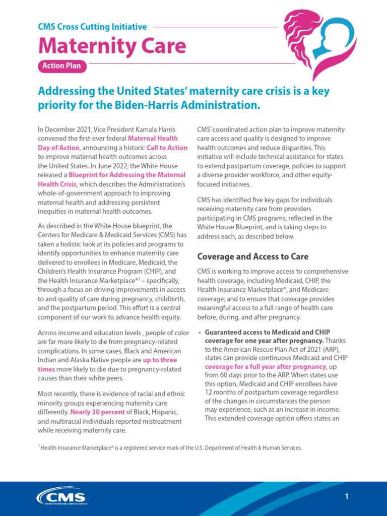 Maternal - Health Action - Plan Nov7 508 | PDF | Medicaid | Maternal Health