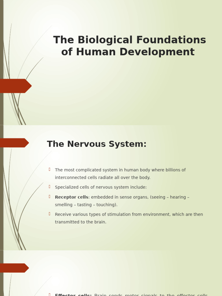 2 The Biological Foundations of Behavior 25032022 094950am 26092023 ...
