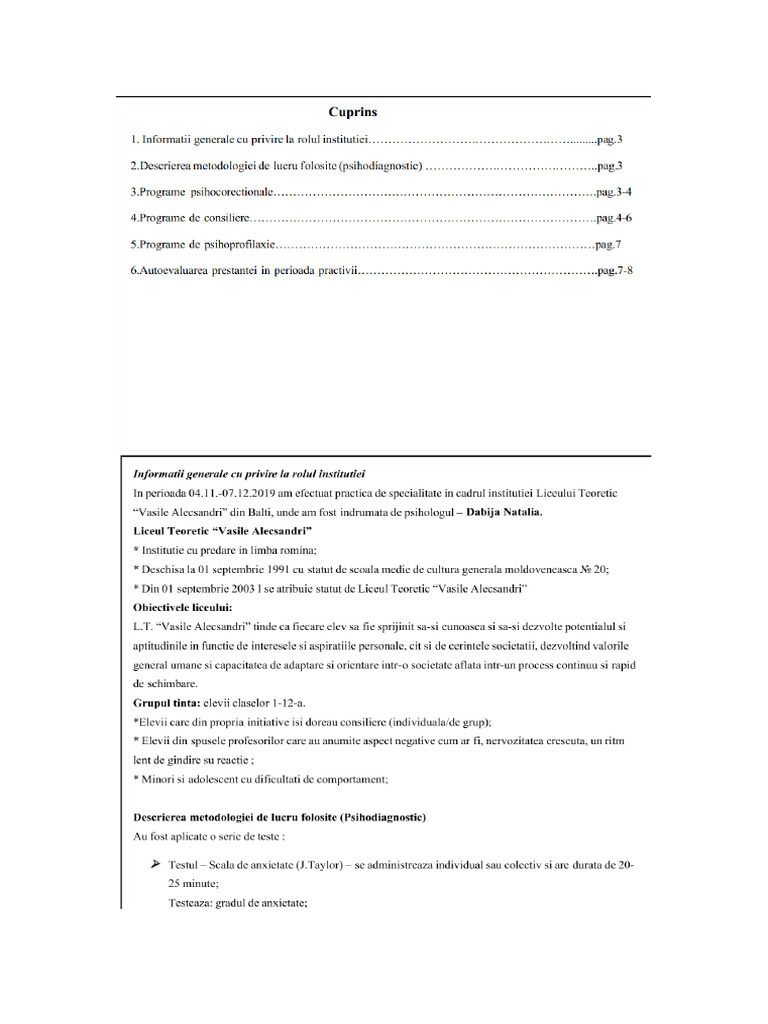 Raportul 1 | PDF