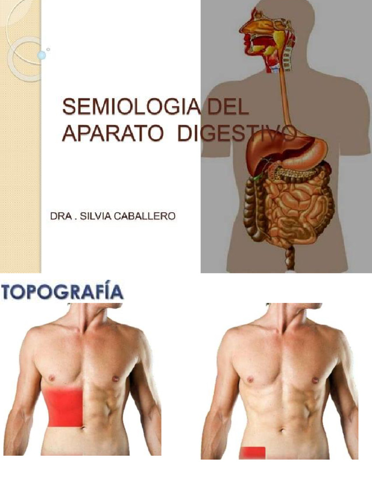Semio Abdomen | PDF