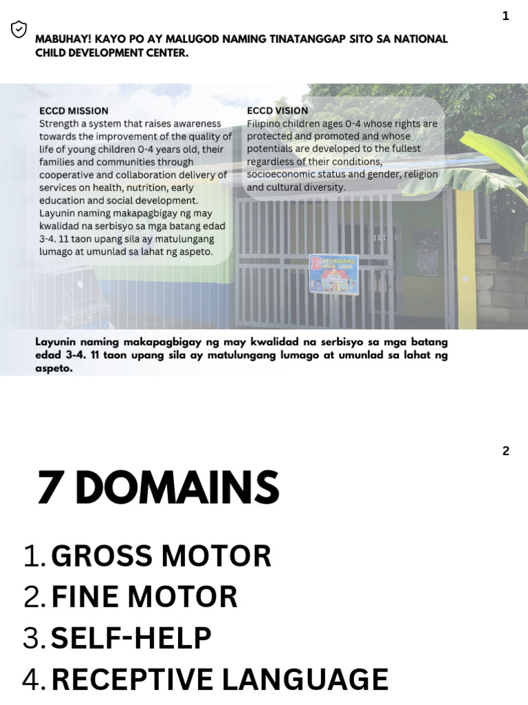 Eccd Vision | PDF