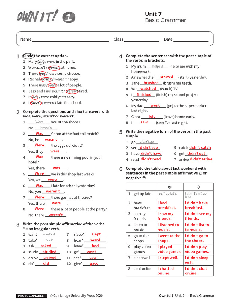 Basic Grammar Unit7 With Answers | PDF | Grammar | Linguistics