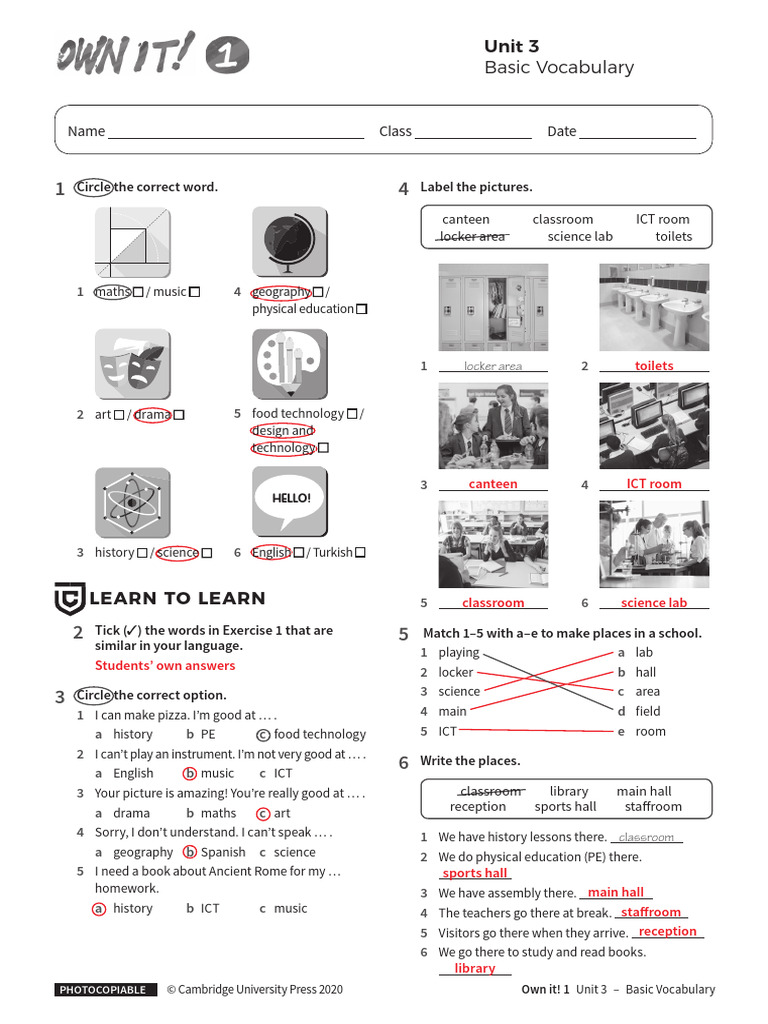 Vocabulary Basic Unit3 With Answers | PDF | Physical Education