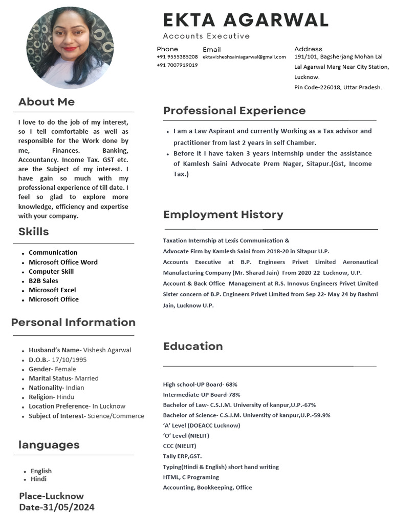 Professional Modern CV Resume | PDF