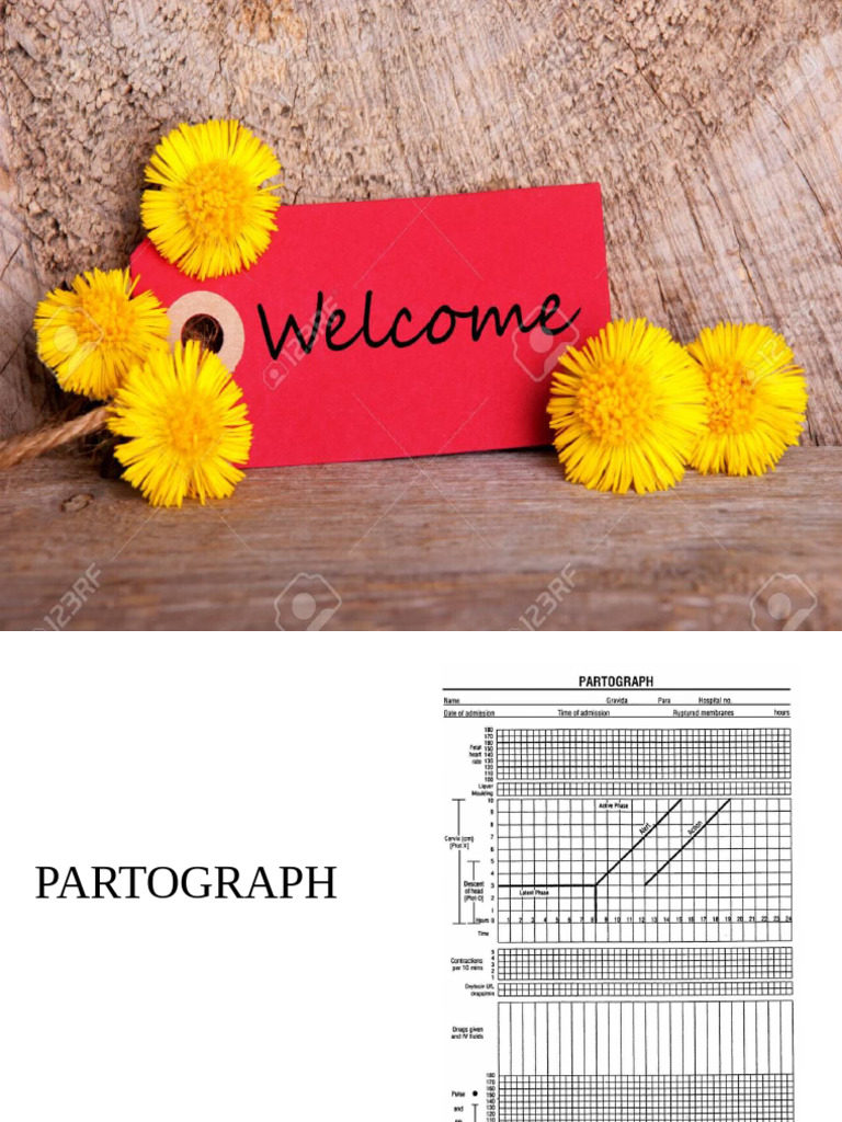 p Artograph | PDF | Childbirth | Maternal Health