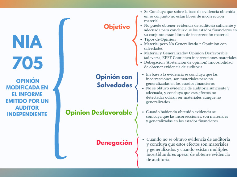 Mapa Conceptual Nia 705 | PDF