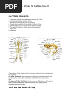 Kaplan Anatomy Coloring Book | PDF | Foot | Human Leg