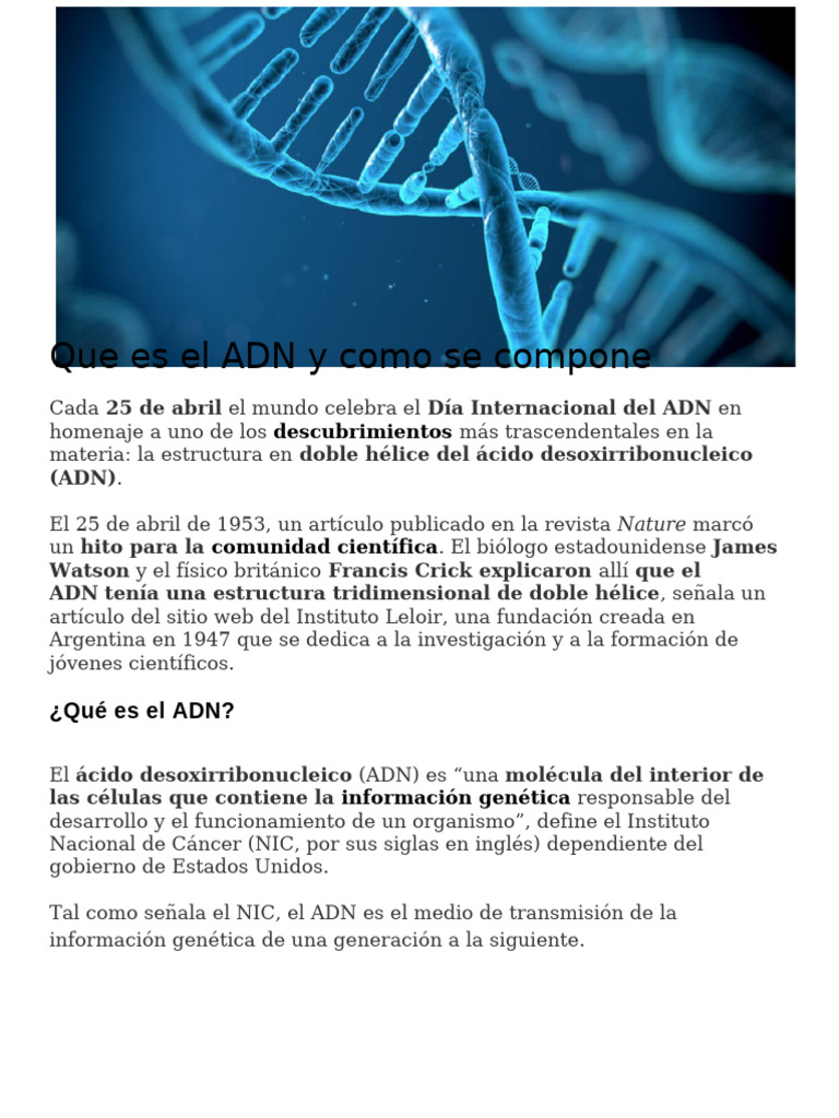 Que Es El ADN y Como Se Compone | PDF | Adn | Base par