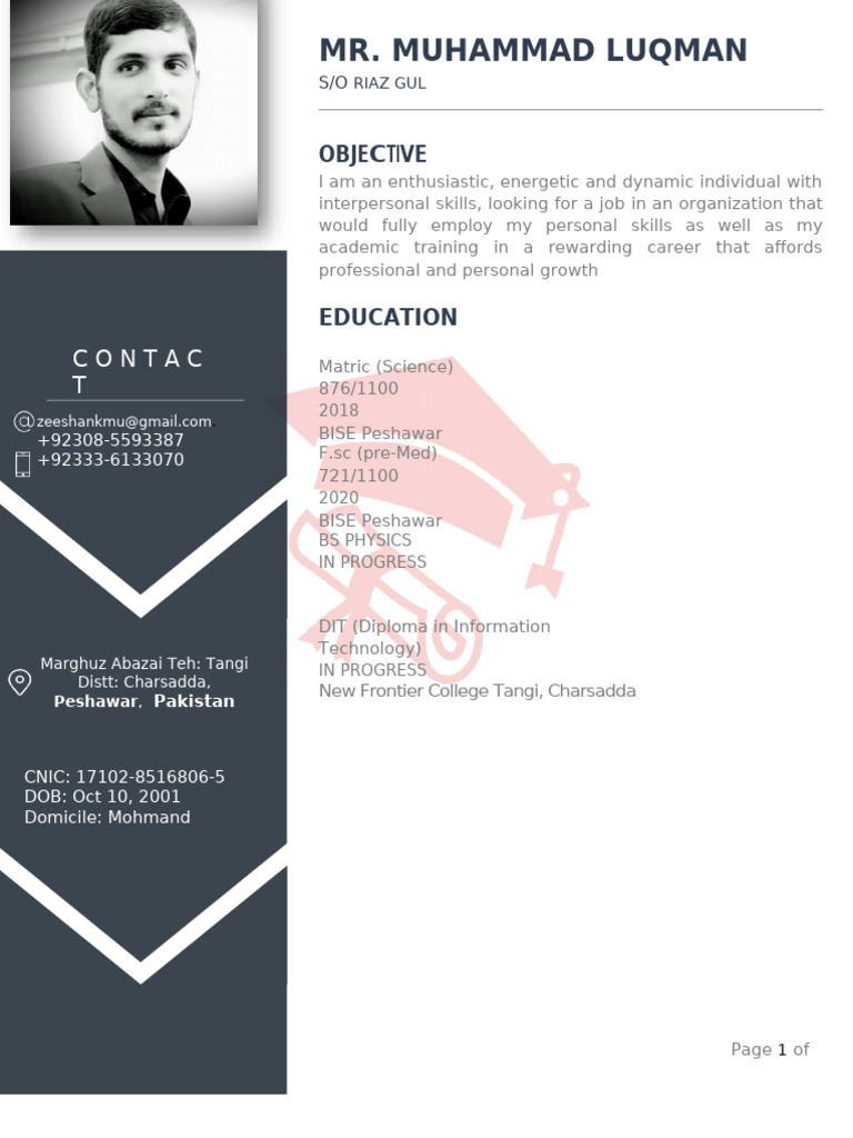 Zeeshan CV | PDF