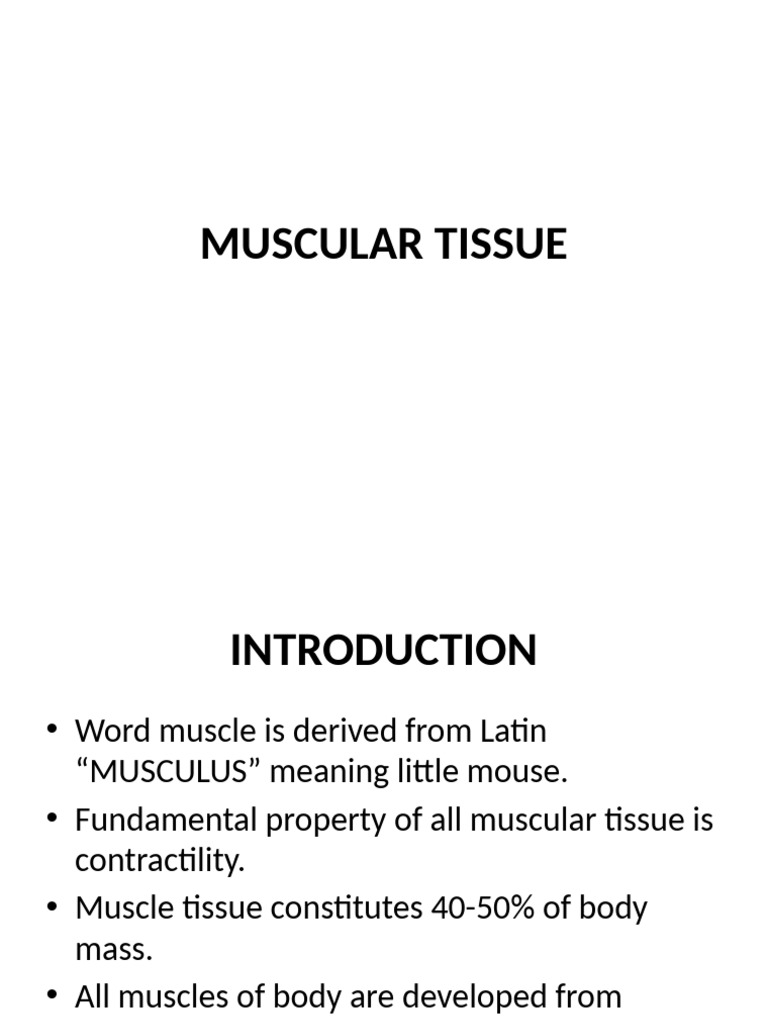 Muscular Tissue Gen Anatomy | PDF | Tissue (Biology) | Muscle