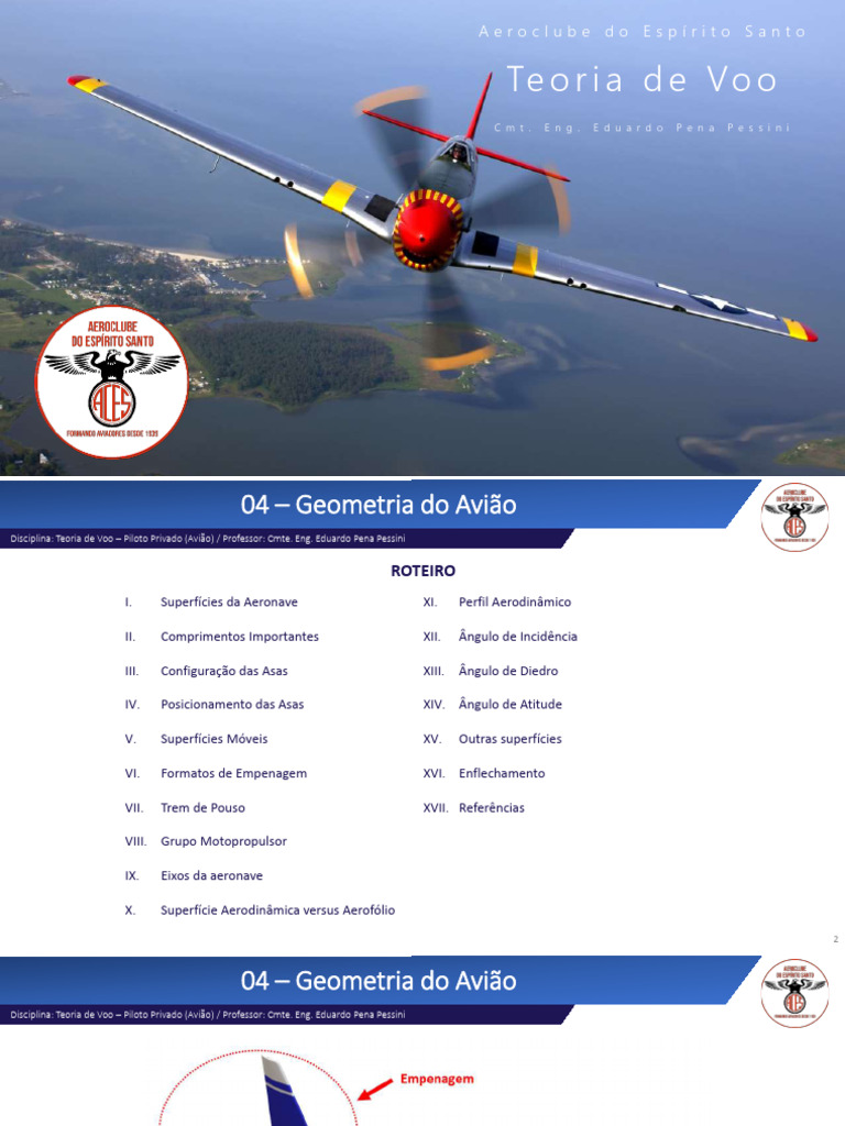 Cap¡tulo 04 - Geometria Do Avi o - Teoria de Voo Avi o - Piloto Privado | PDF | Avião | Voo